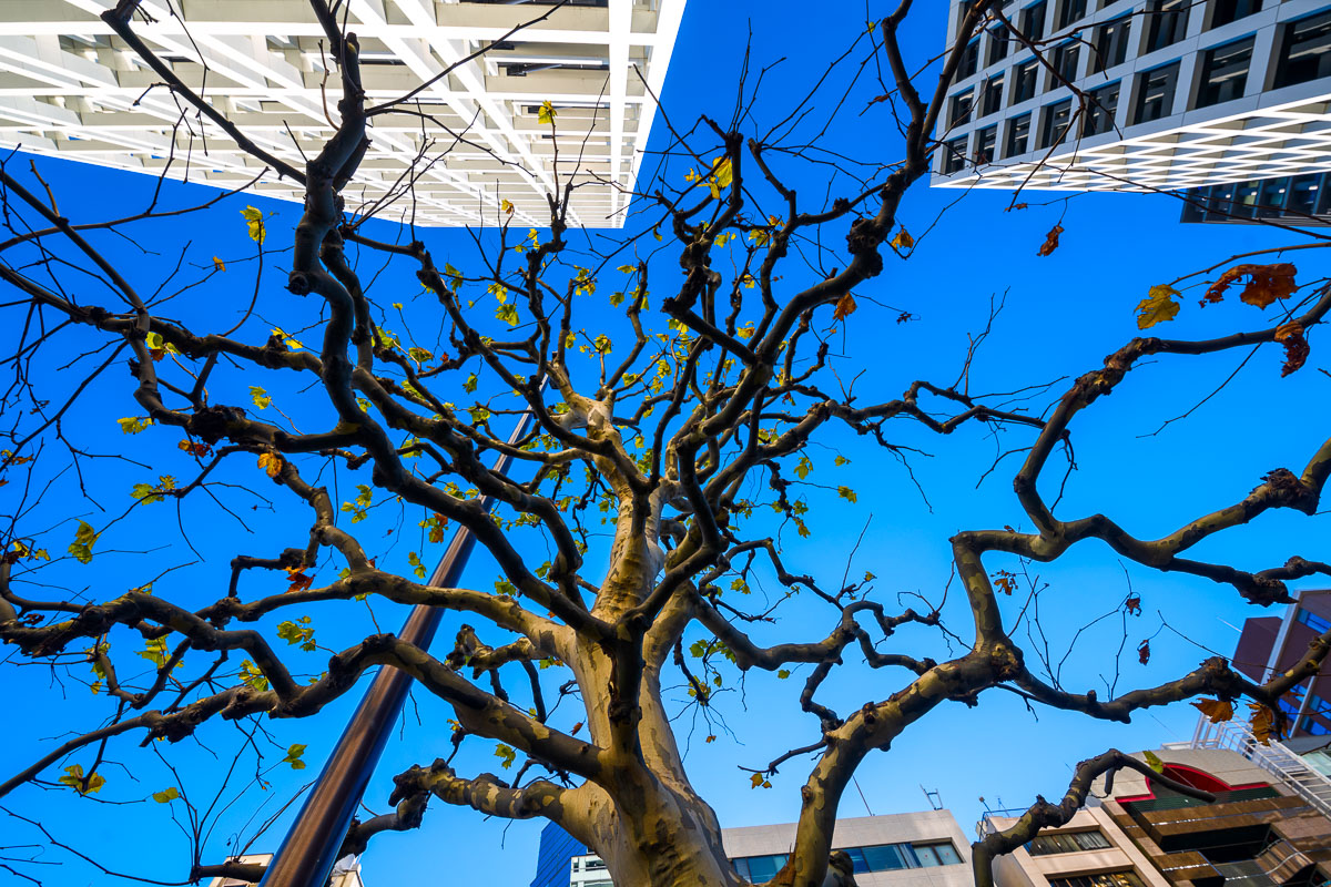 Bloganuary: Are You F-ing Kidding Me? | made by you and I